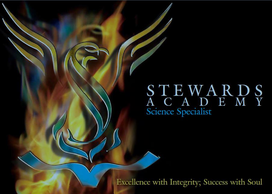Stewards Academy - School Prospectus